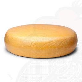 JUMBO Farmhouse Gouda Cheese | Entire cheese 28 kilo / 61.6 lbs | Buy ...