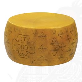 Cheese Dummy Grana Padano PDO