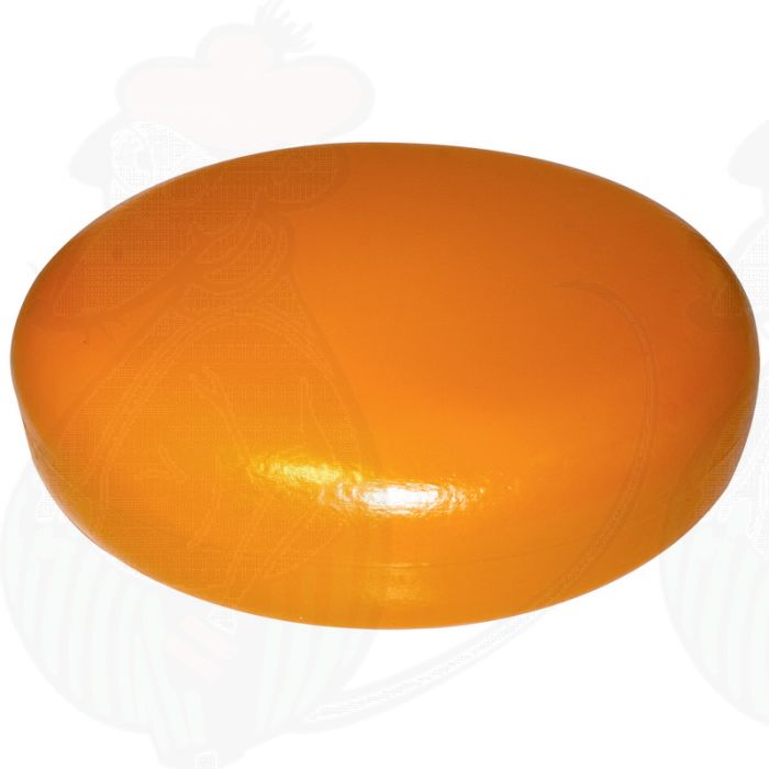 Cheese Dummy Gouda (model) - light yellow - 16kg